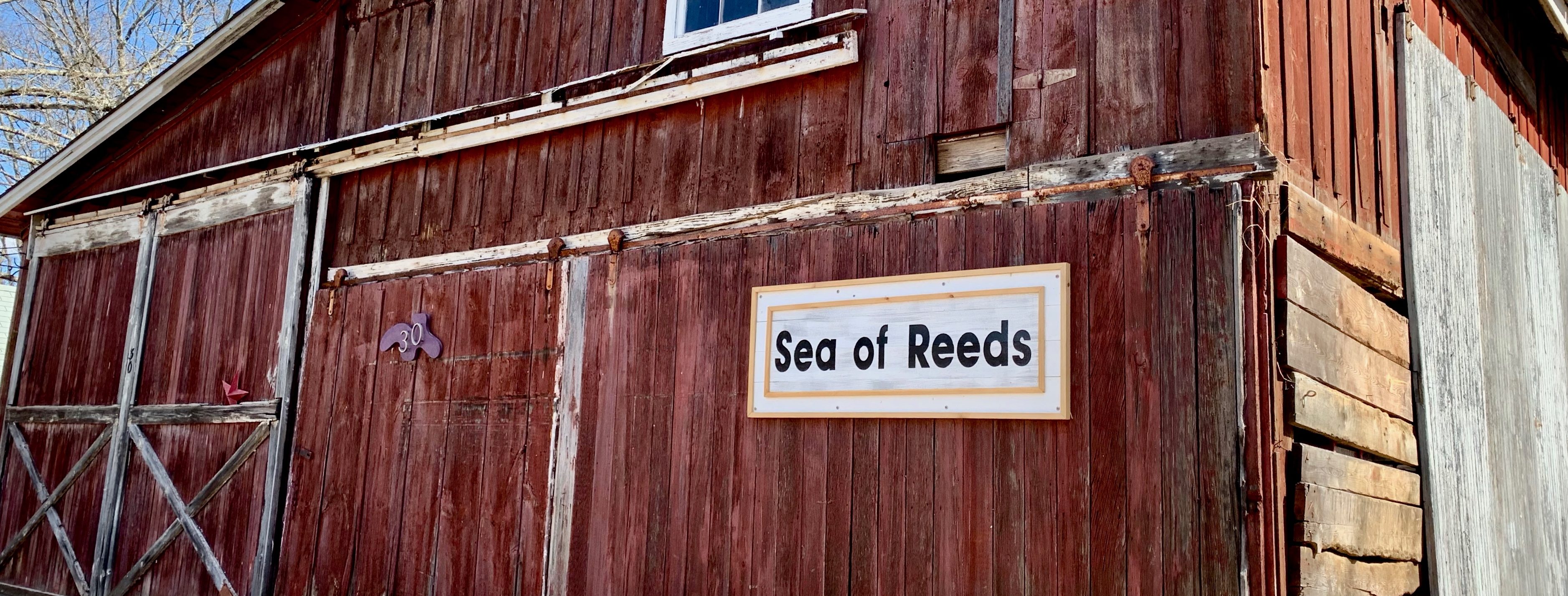 News - Sea of Reeds Media